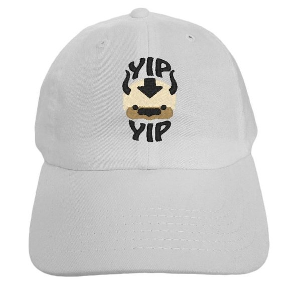 Accessories | Appa Avatar Hat | Poshmark